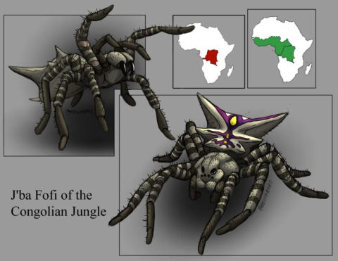 Děsivý Jba fofi: V Africe prý žije gigantický pavouk – EnigmaPlus.cz